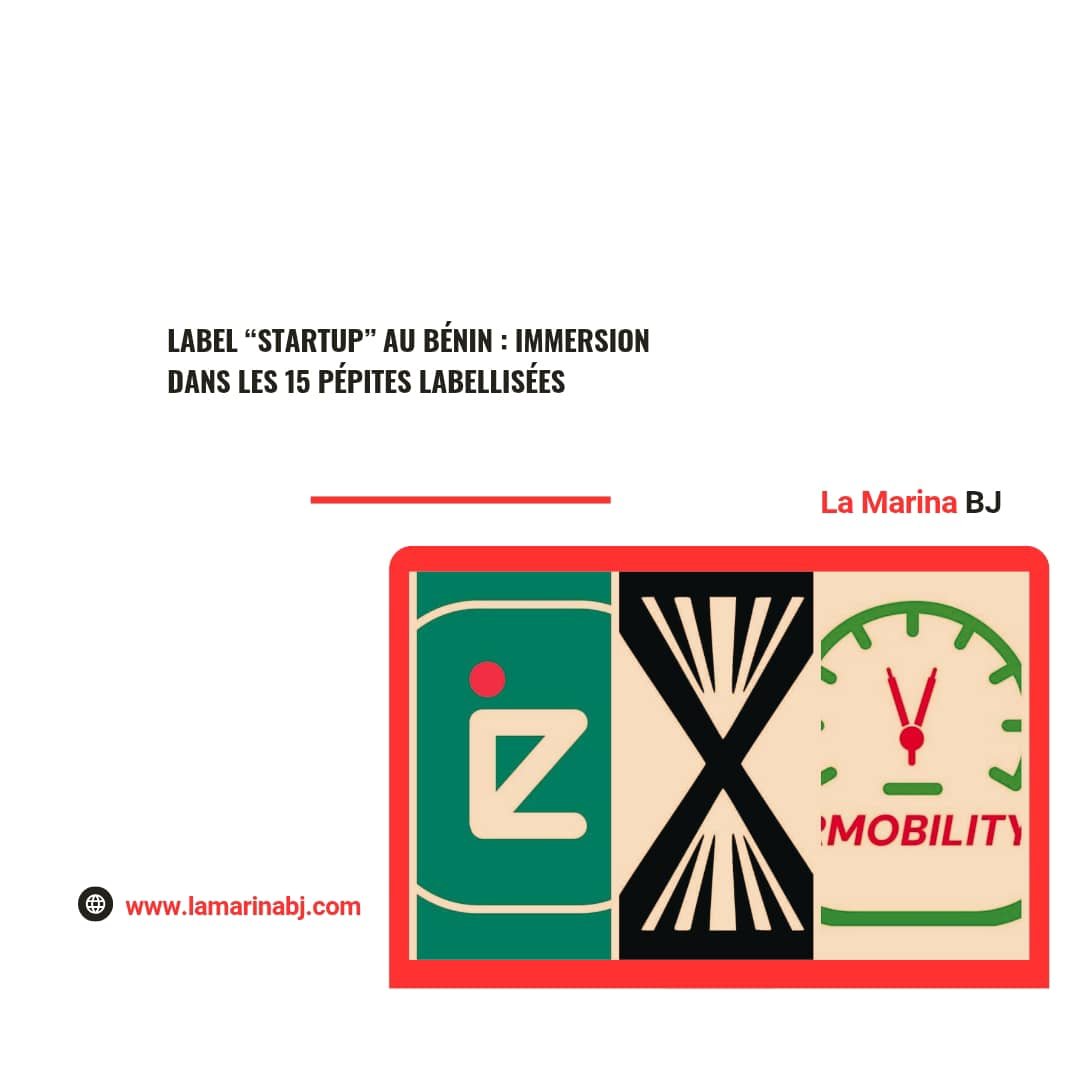 Label “Startup” au Bénin : immersion dans les 15 pépites labellisées ...
